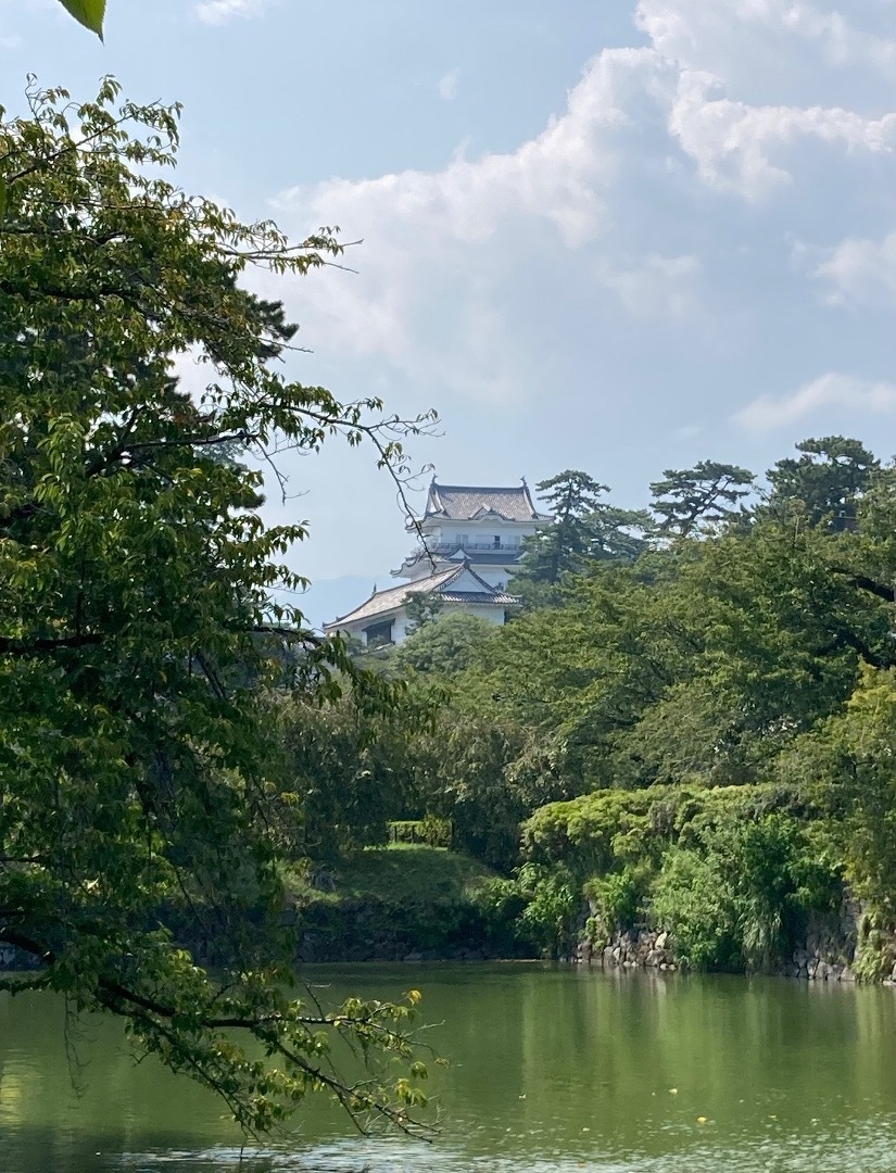 小田原散策: ダイシングランド スタッフブログ